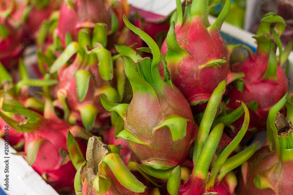 Dragon fruit, Pitaya (geow mangon). Fruits of Vietnam and Thailand ...