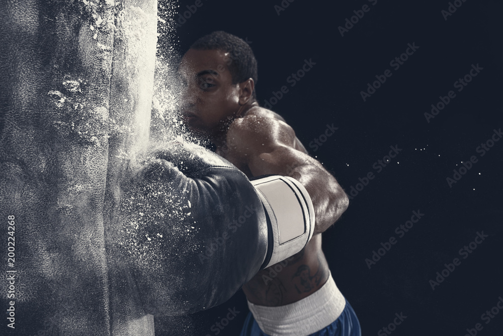 Boxing training and punching bag Stock Photo | Adobe Stock
