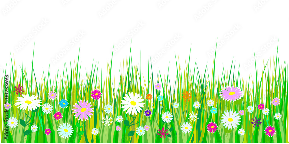 Spring grass and flowers borders. Easter decoration with spring grass ...