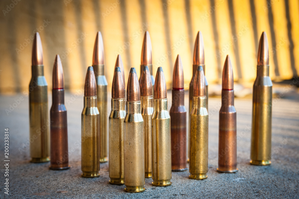 Rifle Ammunition Types