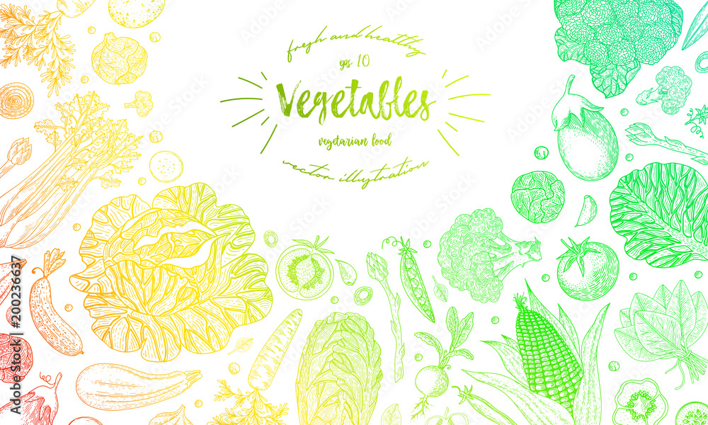 Organic food design template. Fresh colorful vegetables. Detailed ...