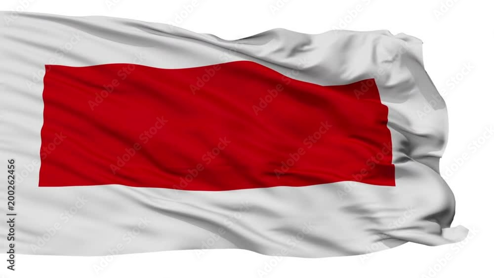 Sharjah flag, city of United Arab Emirates, realistic animation ...