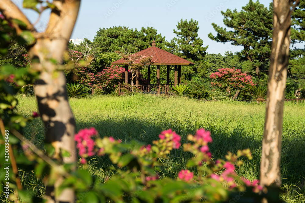 JejPark with a little gardenhouse and flowers in Seogwipo, Jeju Island ...