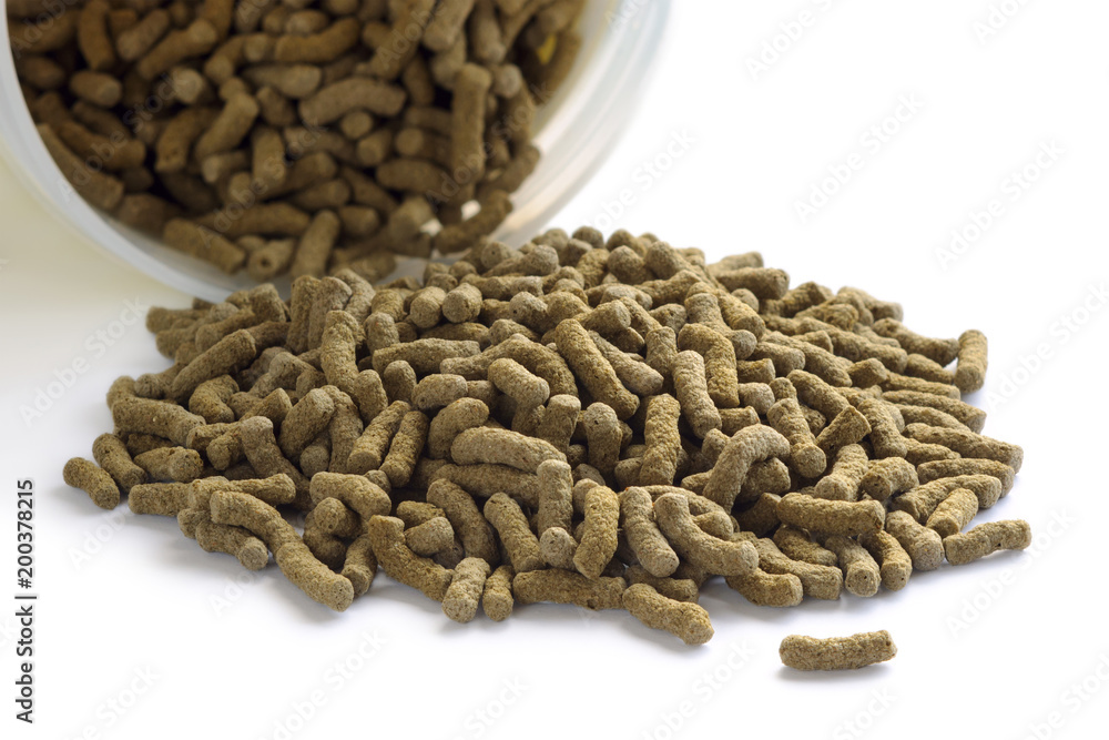 Fish feed isolated on white background. Fish food in sticks for large ...