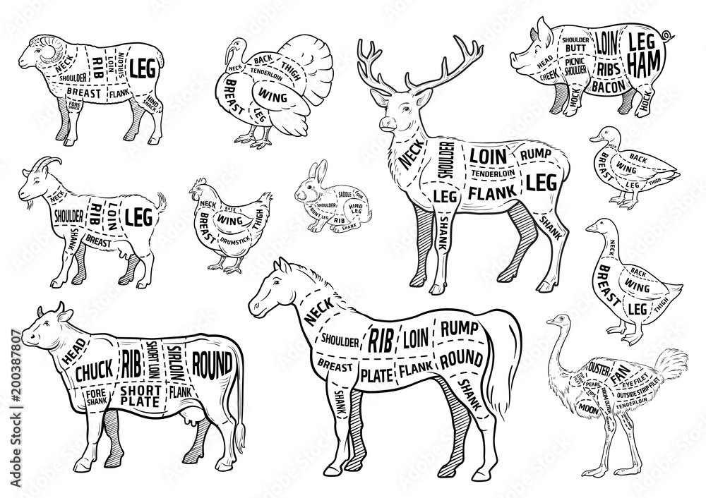 Farm animals icons set. Collection of labels with beautiful such as ...