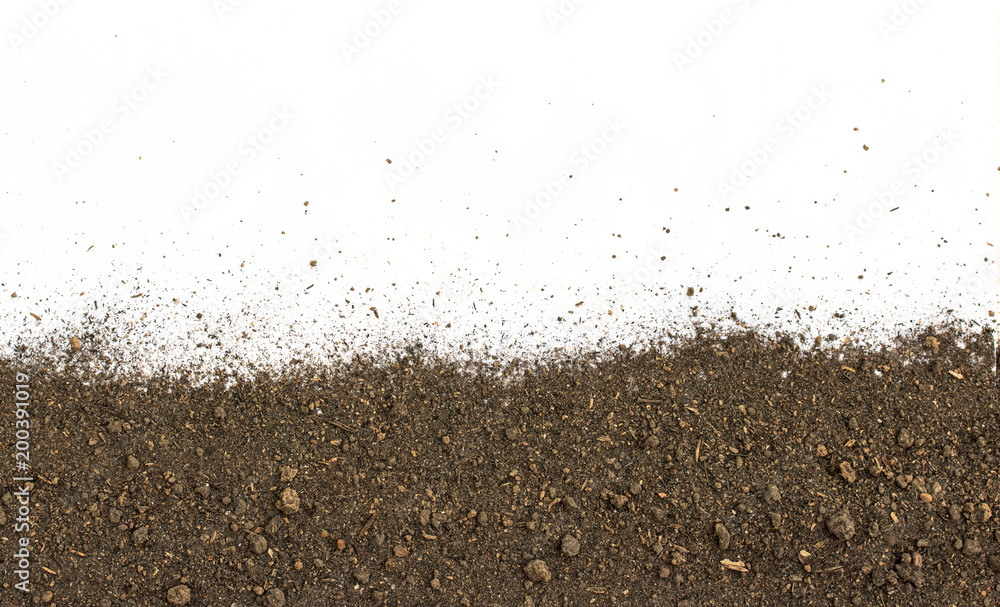 Dirty earth on white background. Natural soil texture Stock Photo ...