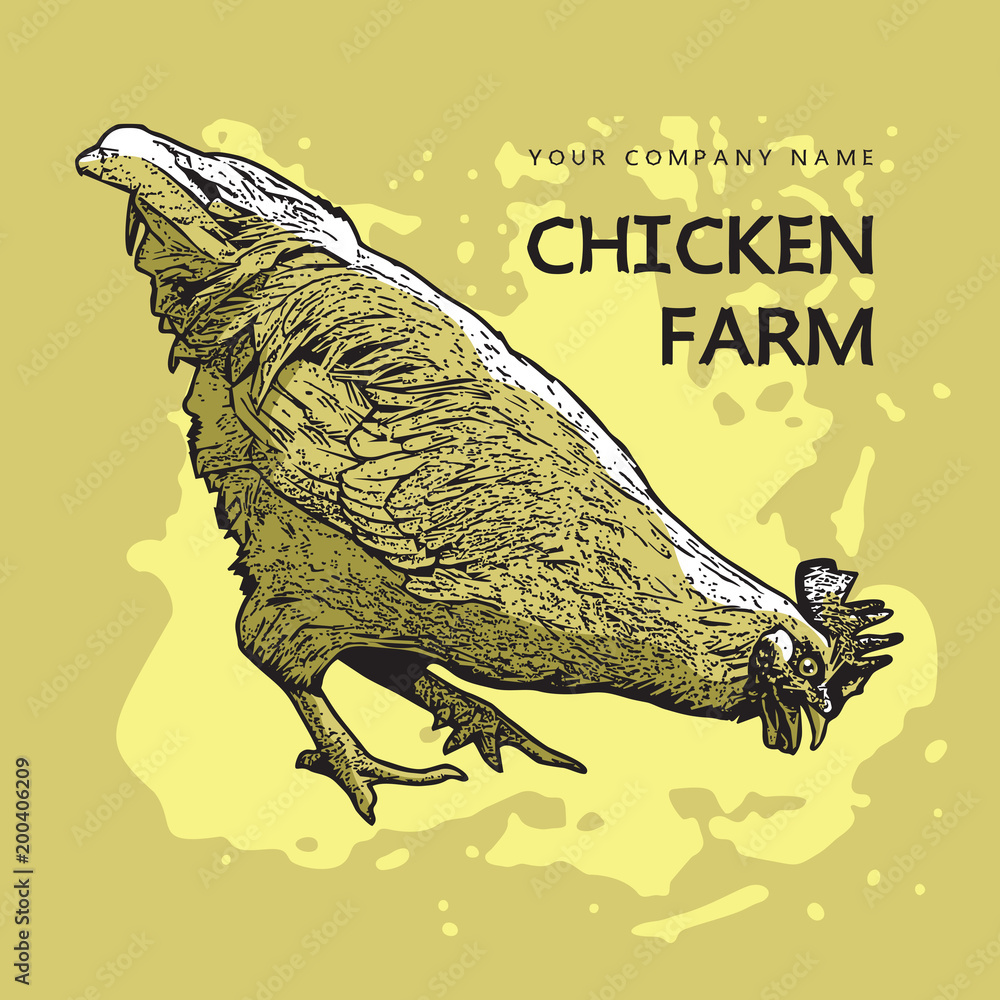 Rooster chicken hen - realistic graphic image. Vector illustration in ...