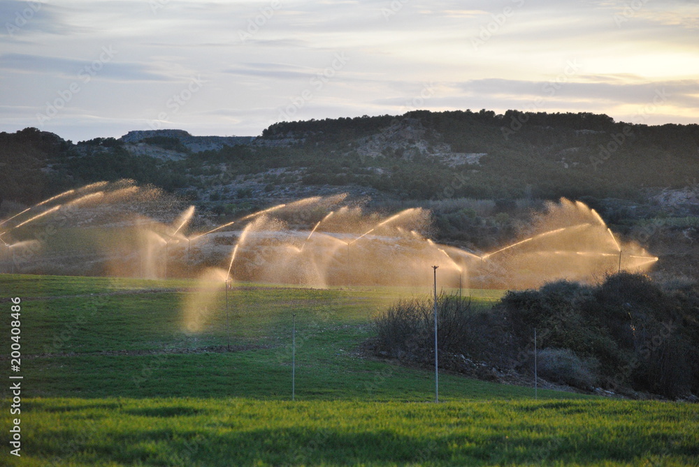 Foto de Campos de maíz, riego por aspersión, reflejo luz, puesta de sol ...