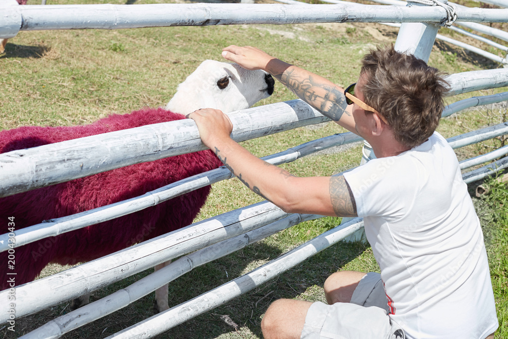 Communication, relations and feelings between human and animal. Brutal ...