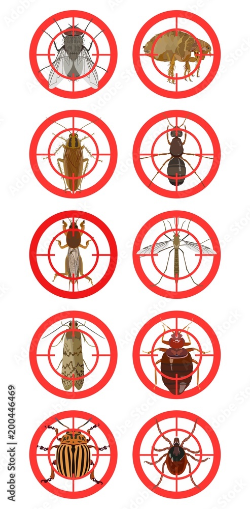 Collection of red warning signs about harmful insects. Vector ...