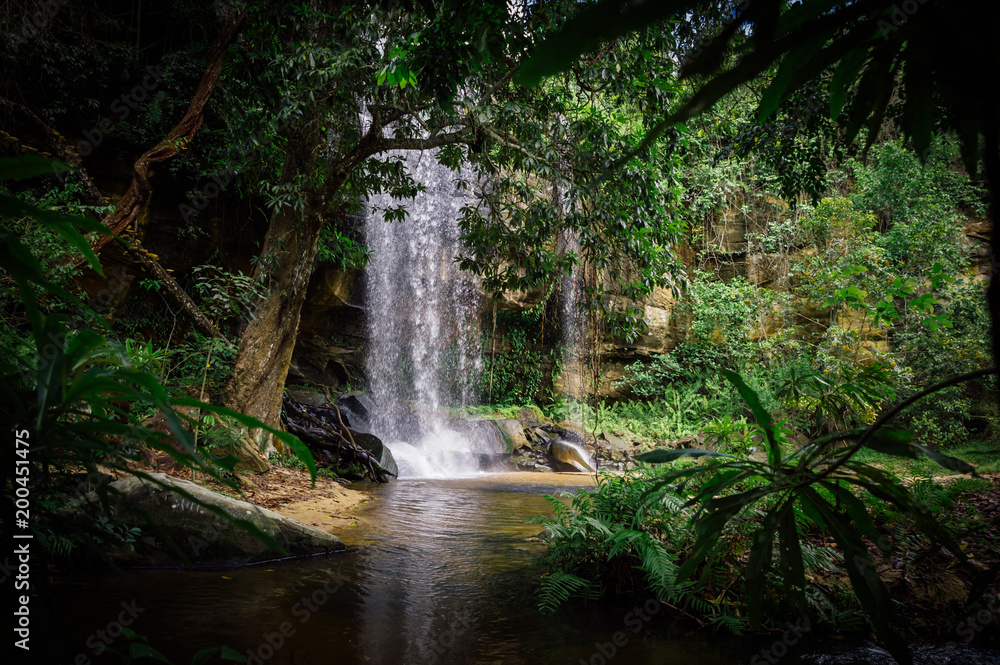 Beautiful waterfall in green jungle oasis Stock Photo | Adobe Stock
