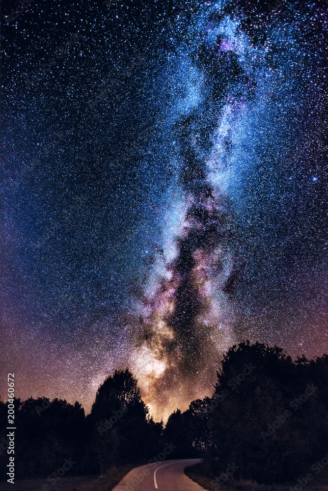 Sky Galaxy Milky Way Forest