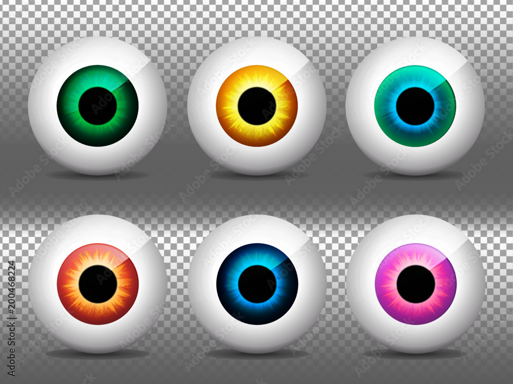 Real Eyeball Vector