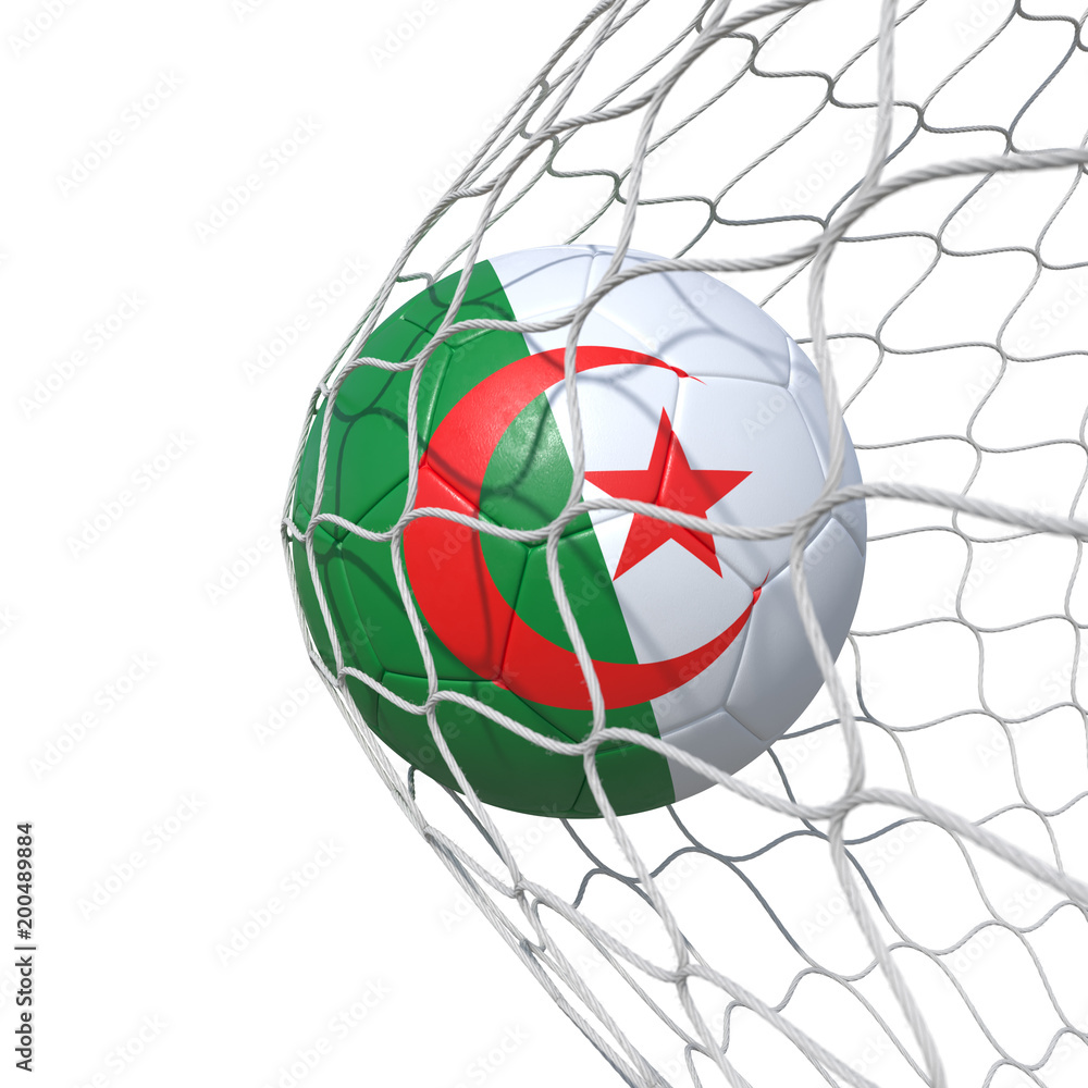 Algerian Algeria flag soccer ball inside the net, in a net. Stock ...