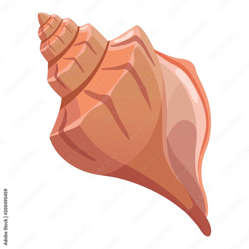 Shell as house icon. Cartoon illustration of shell as house vector icon ...