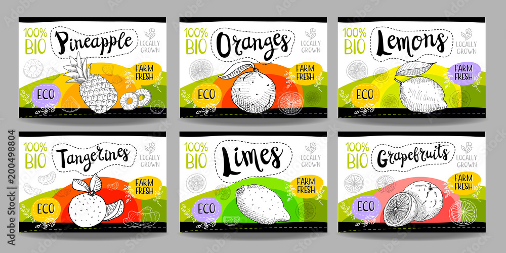 Set of hand drawn food labels, spices labels, fruit labels, vegetable ...