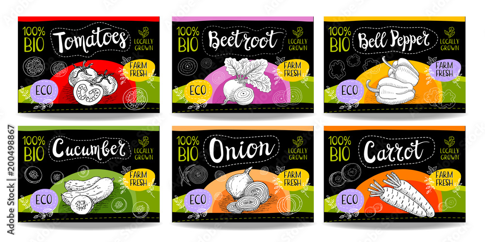 Set of hand drawn food labels, spices labels, fruit labels, vegetable ...