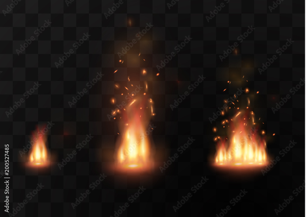 Realistic Fire Vector