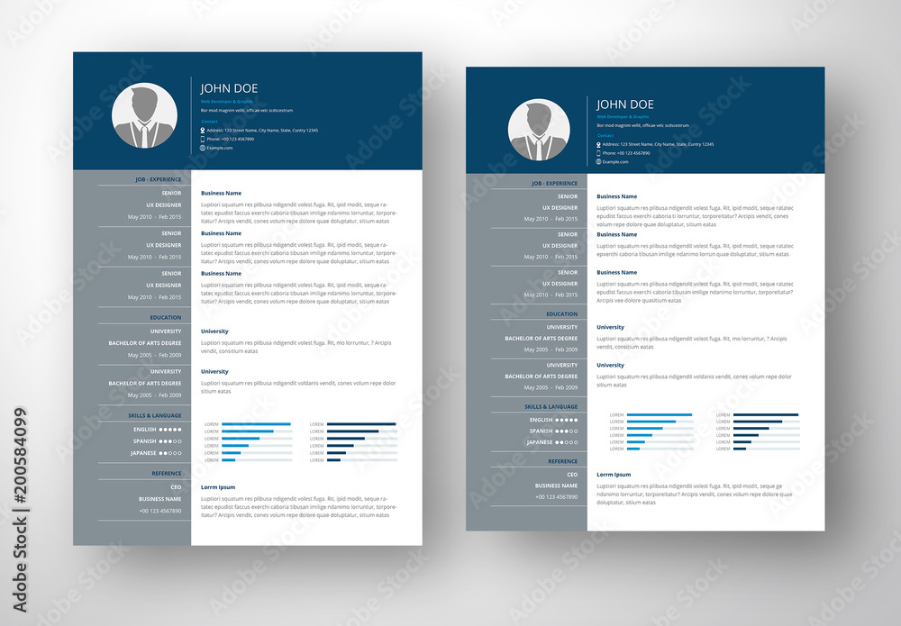 Resume Layout with Blue and Gray Accents Stock Template | Adobe Stock