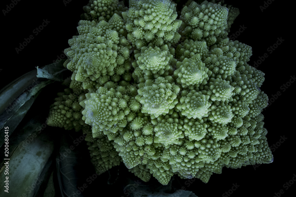 Close up Romanesco broccoli Brassica oleracea aesthetic vegetable ...