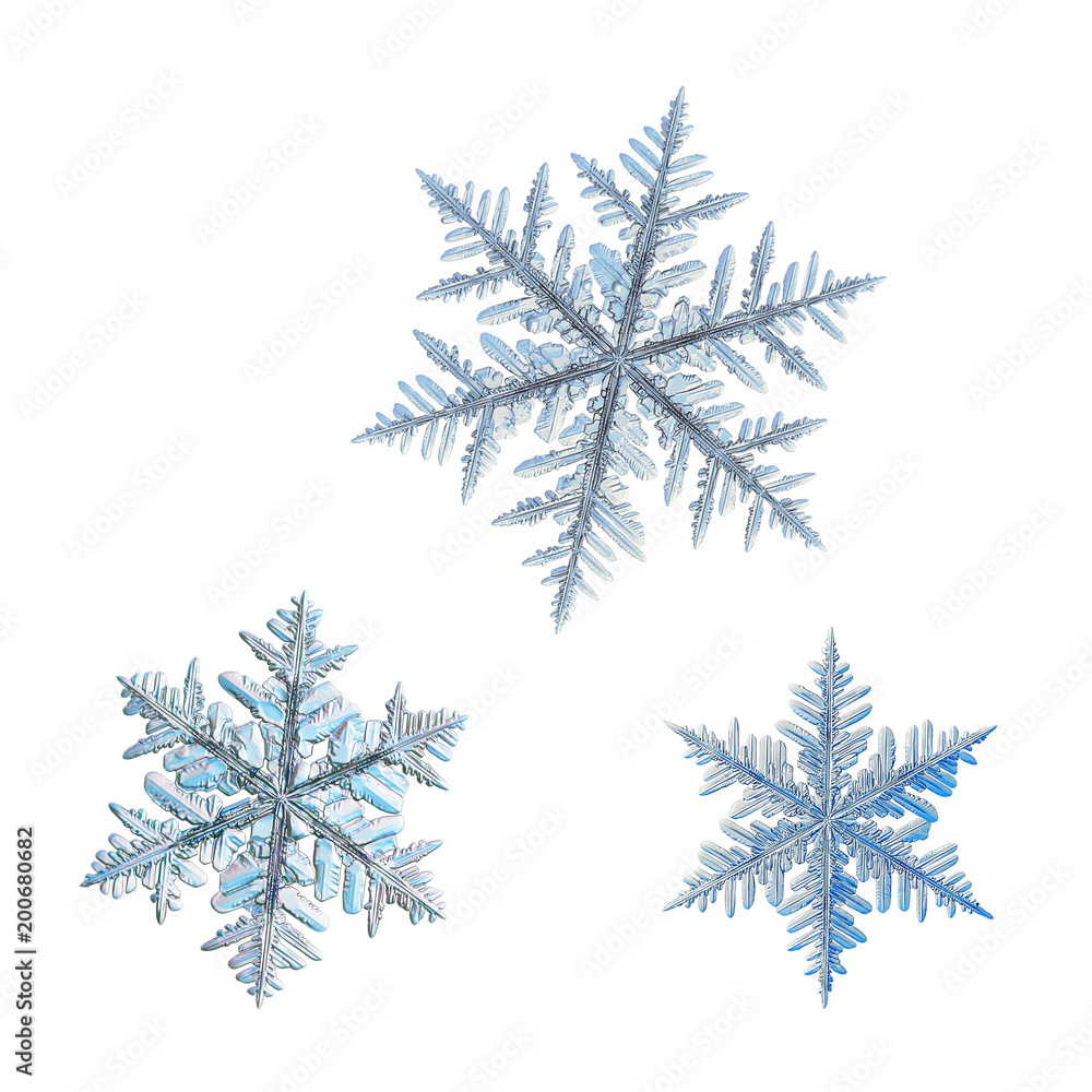 Three snowflakes isolated on white background. Macro photo of real snow ...