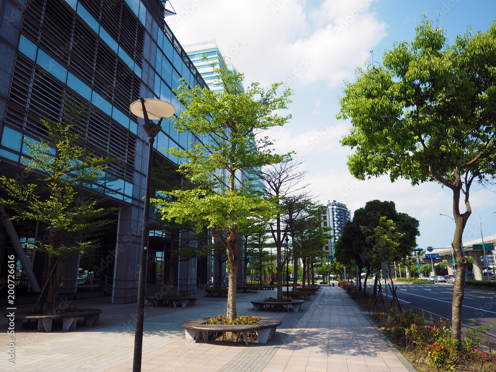 city tree Stock Photo | Adobe Stock