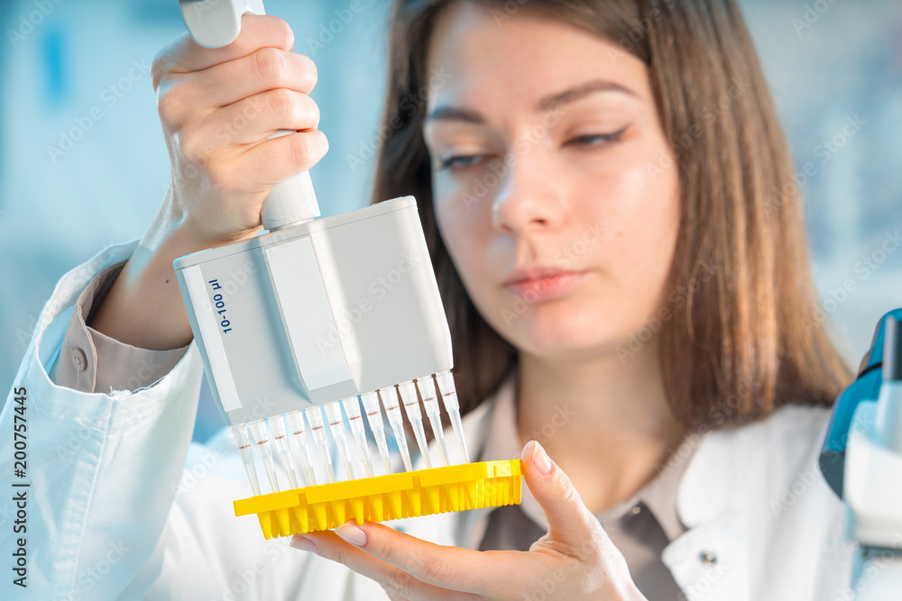 student woman with multi pipette and other PCR items in microbiological / genetic laboratory ...