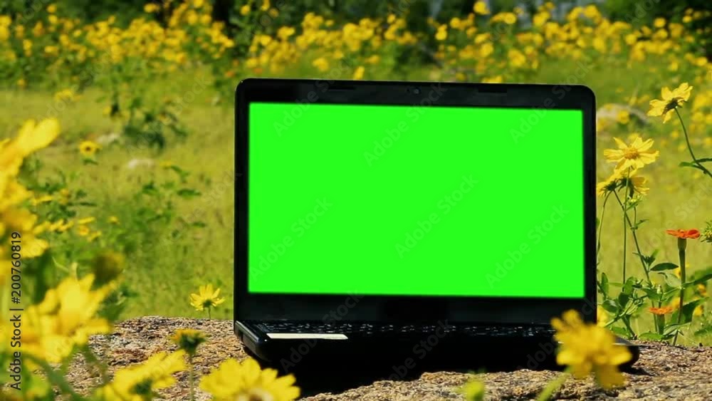 Laptop Green Screen in the Field. Zoom Out. You can replace green ...