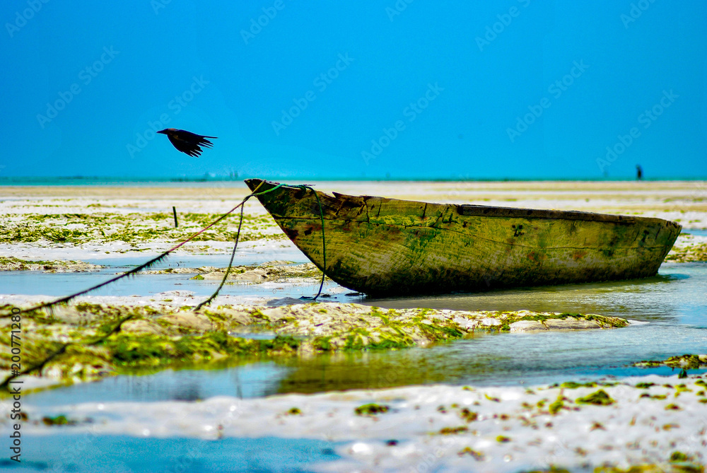 Tropical boat with flying bird Stock Photo | Adobe Stock