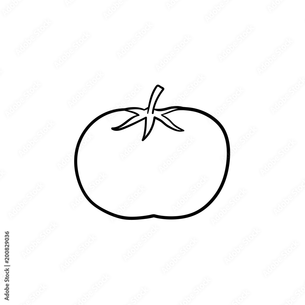 Organic tomato hand drawn outline doodle icon. Healthy vegetable - raw ...
