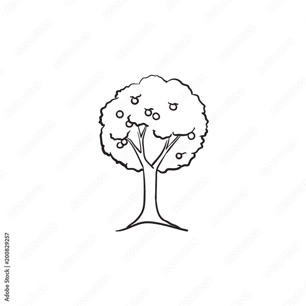 Fruit tree hand drawn outline doodle icon. Vector sketch illustration ...