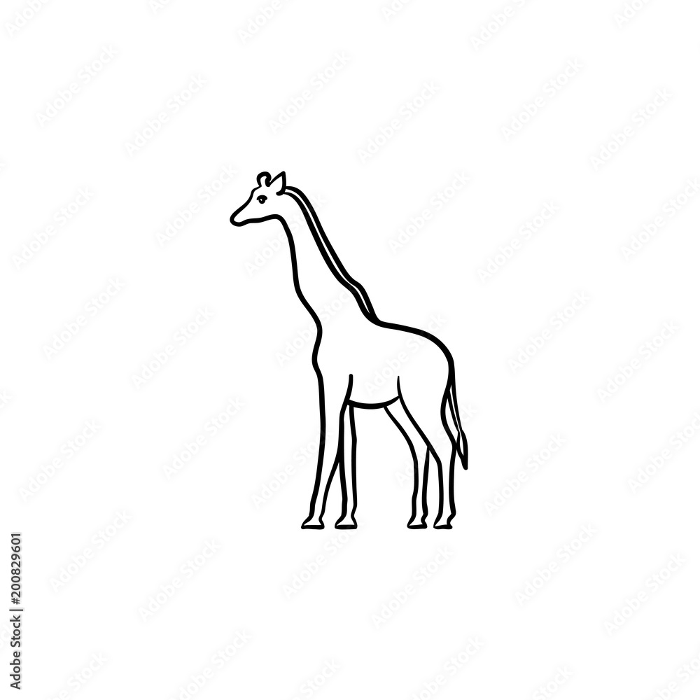 Giraffe hand drawn outline doodle icon. Africa animal - giraffe vector ...