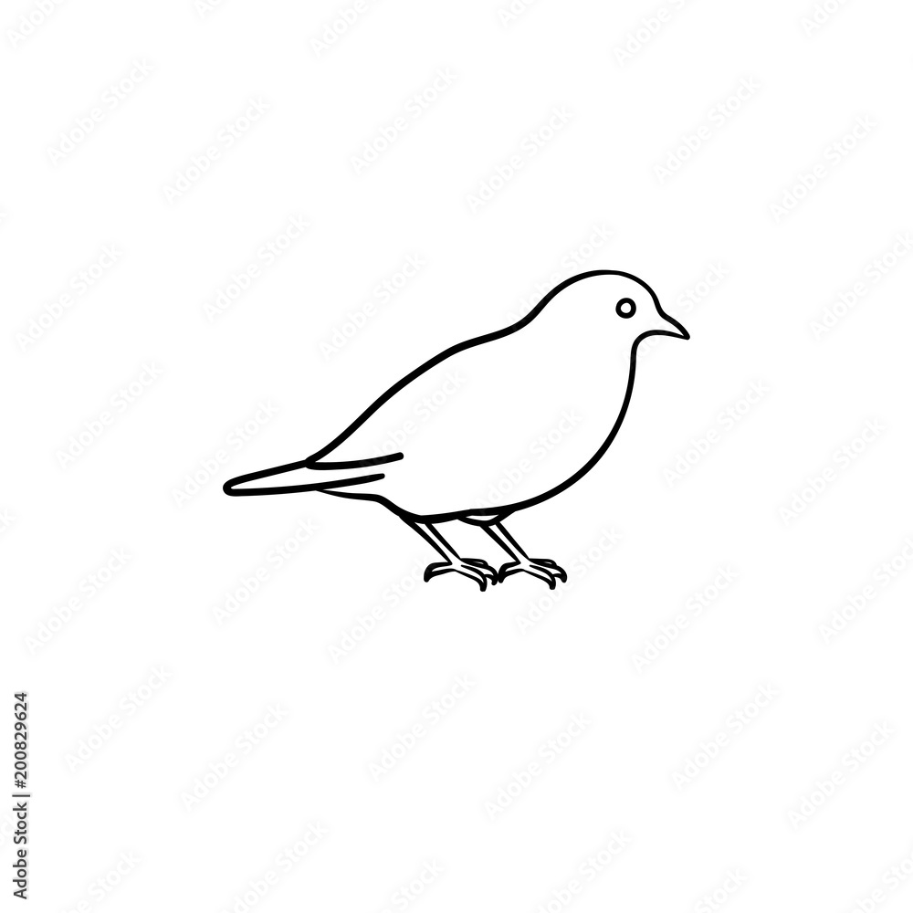 Bird hand drawn outline doodle icon. Vector sketch illustration of bird ...