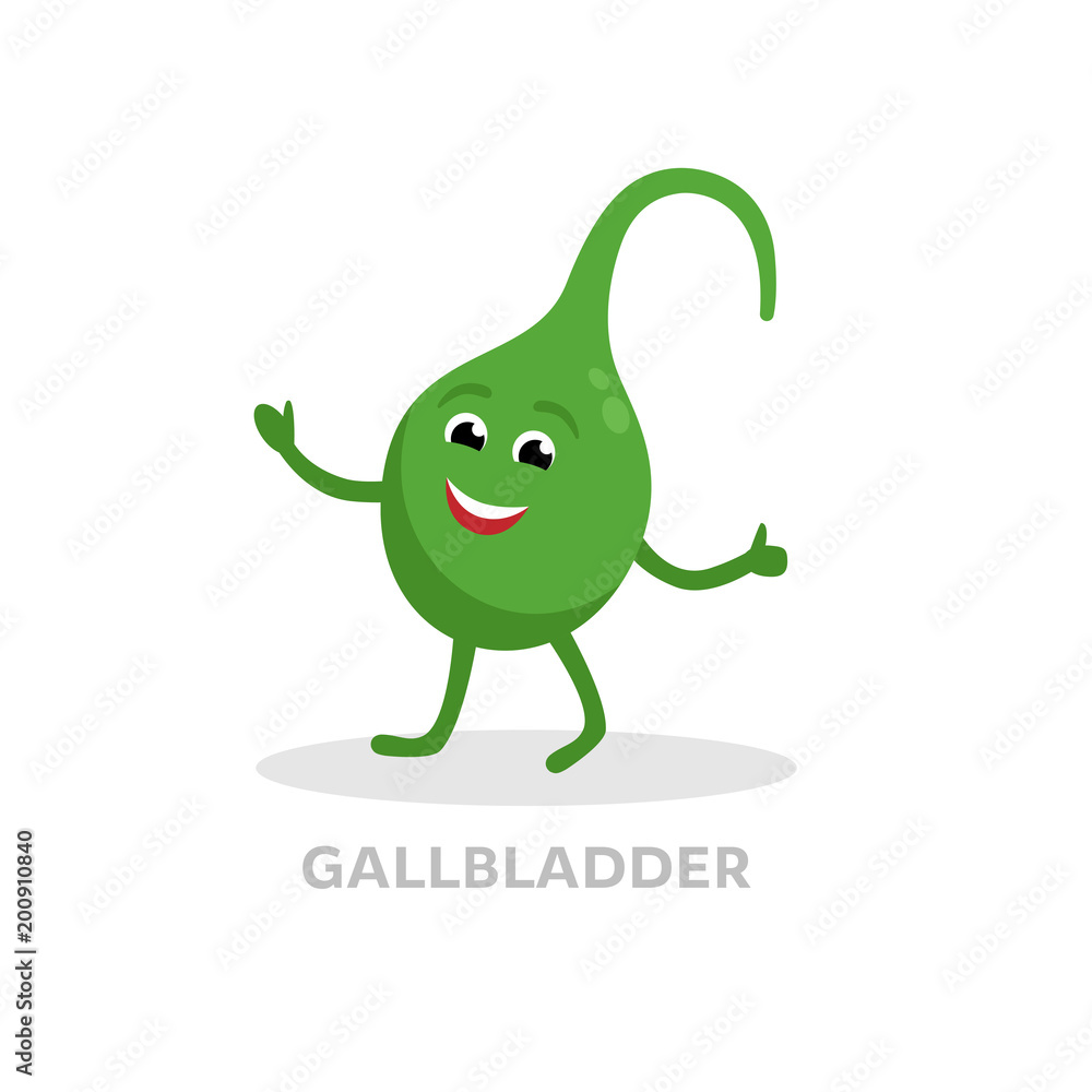 Healthy gallbladder cartoon character isolated on white background ...