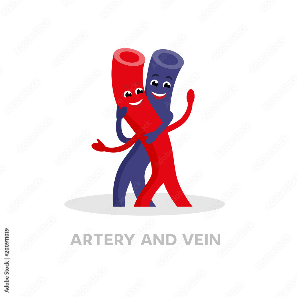 Healthy vein and artery cartoon character isolated on white background ...