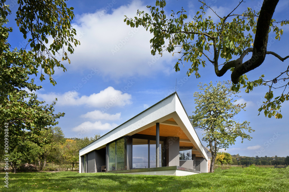 Poster an exceptional family house with a ground plan of triangles ...