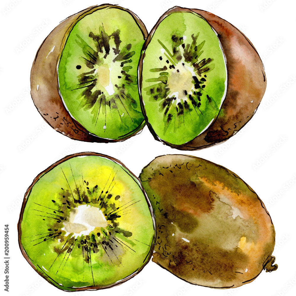 Exotic kiwi healthy food in a watercolor style isolated. Full name of ...