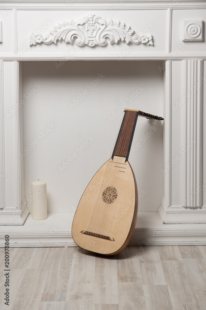 Lute of the 16th century Stock Photo | Adobe Stock