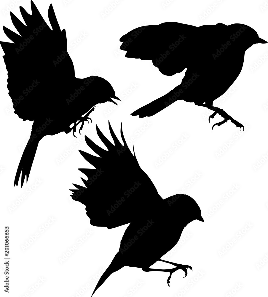 3 Birds Flying Silhouette