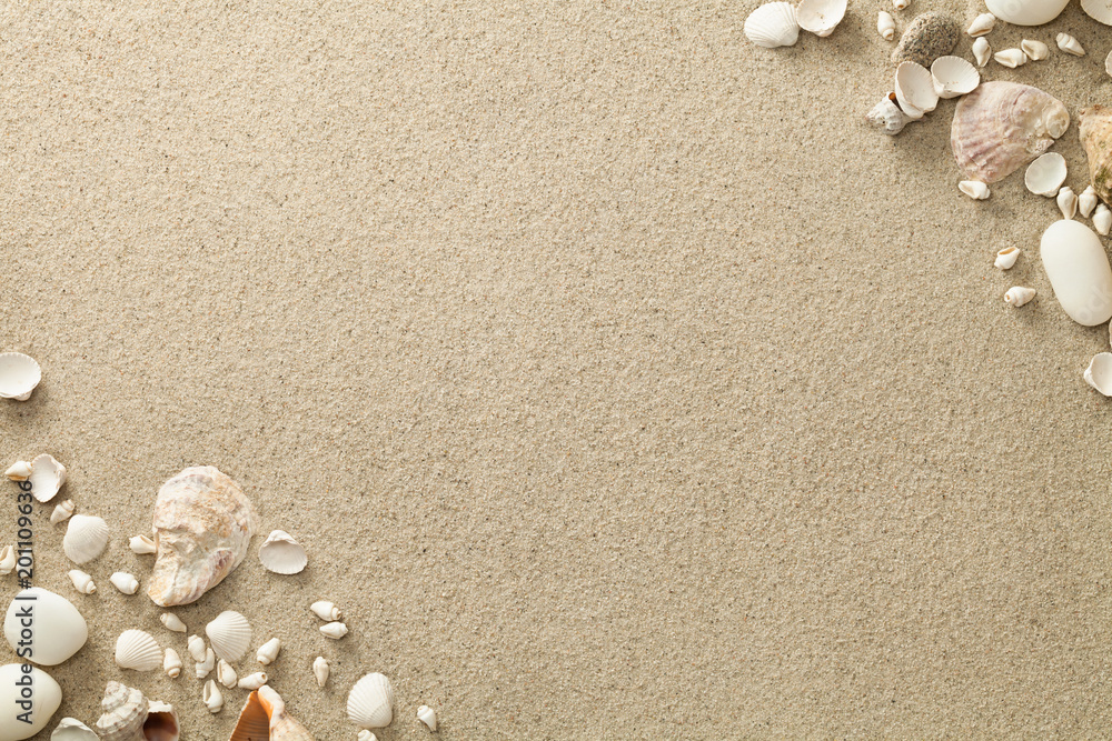 Sandy Beach Background with Shells and Stones Stock Photo | Adobe Stock