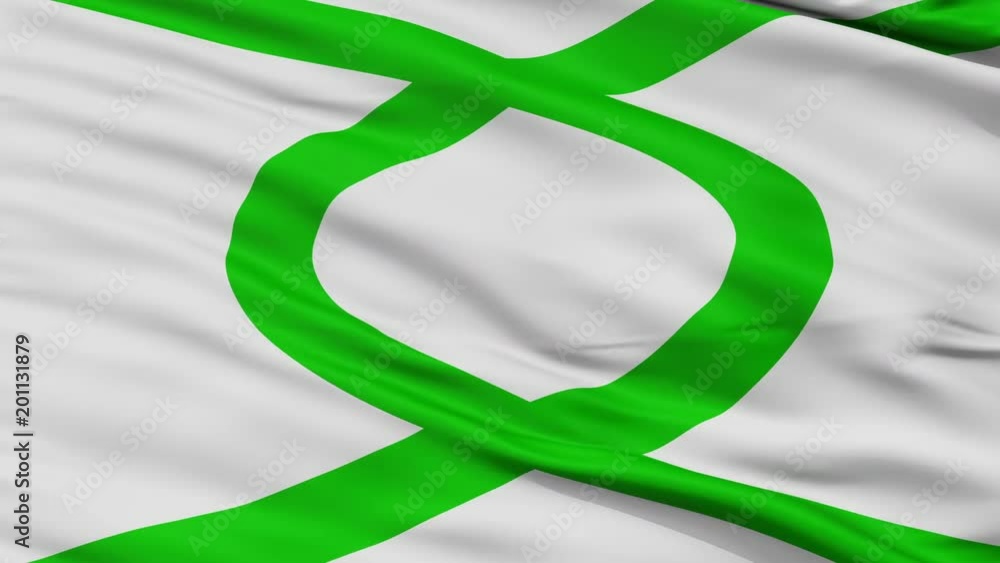 Vidéo Stock La Union closeup flag, city of Chile, realistic animation ...