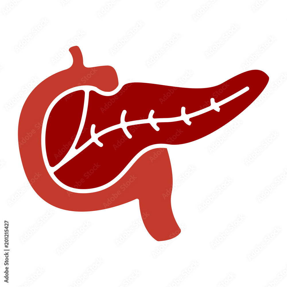 Organe Icon - Pankreas Stock Vector | Adobe Stock