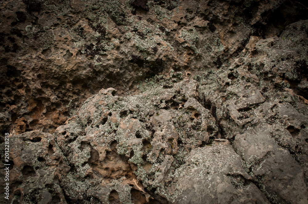 Textura de roca para fondo rock background Stock Photo | Adobe Stock