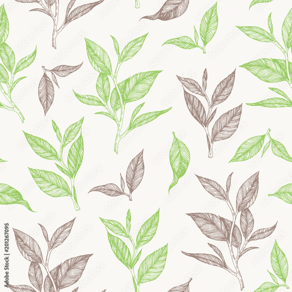 Tea seamless pattern. Hand drawn tea leaf vector illustration. Vintage ...
