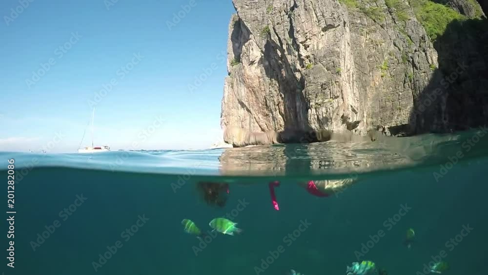SLOW MOTION, HALF-HALF: School of colorful fish approaches floating ...