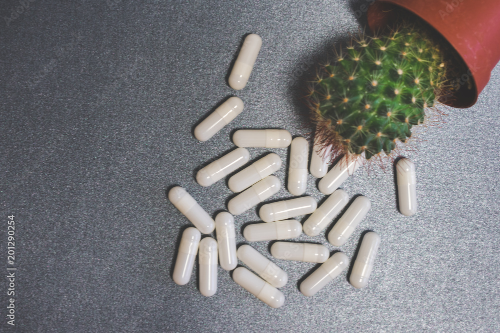 Top view of white capsules and a cactus with spines on a gray ...