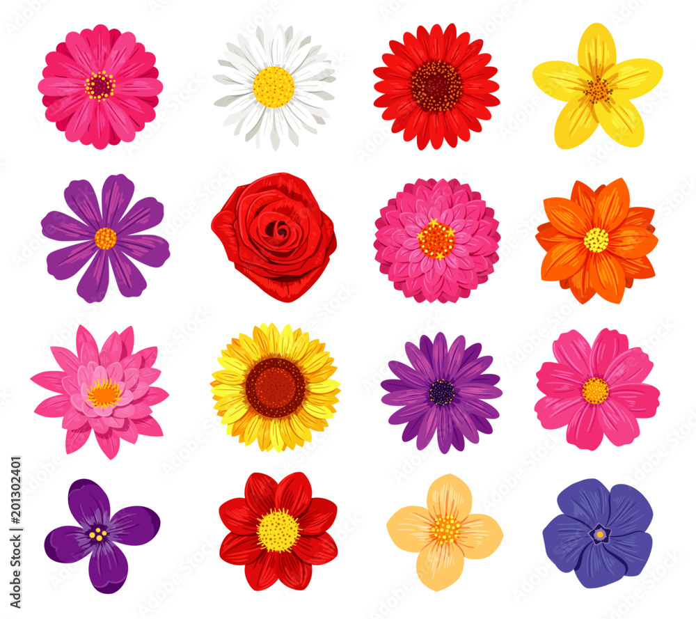 Vector flower set isolated on white background Stock Vector | Adobe Stock