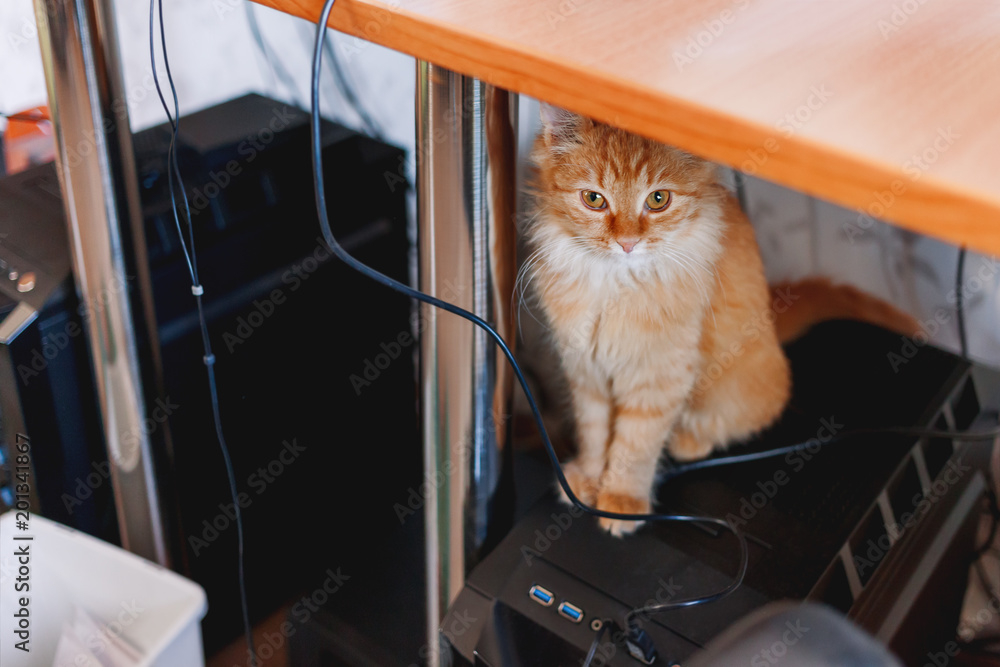 Cute ginger cat sitting under the table, on computer system unit. Stock ...