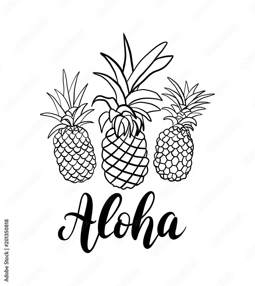 Vector set of five pineapple fruit. Tropical summer vacation collection ...
