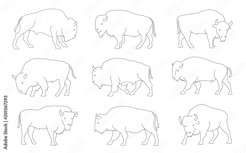 bison line Stock Vector | Adobe Stock